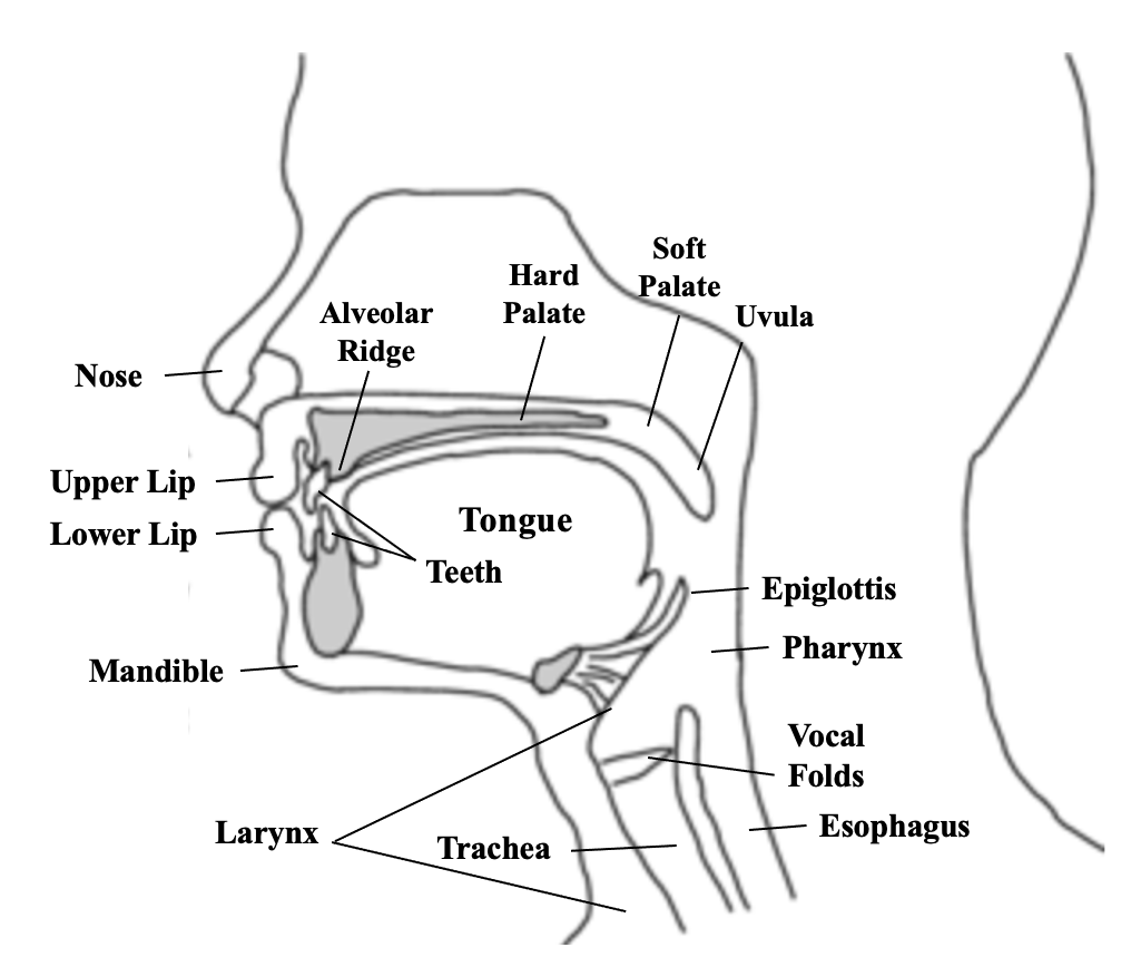 Articulation Therapy - Global Speech Therapy